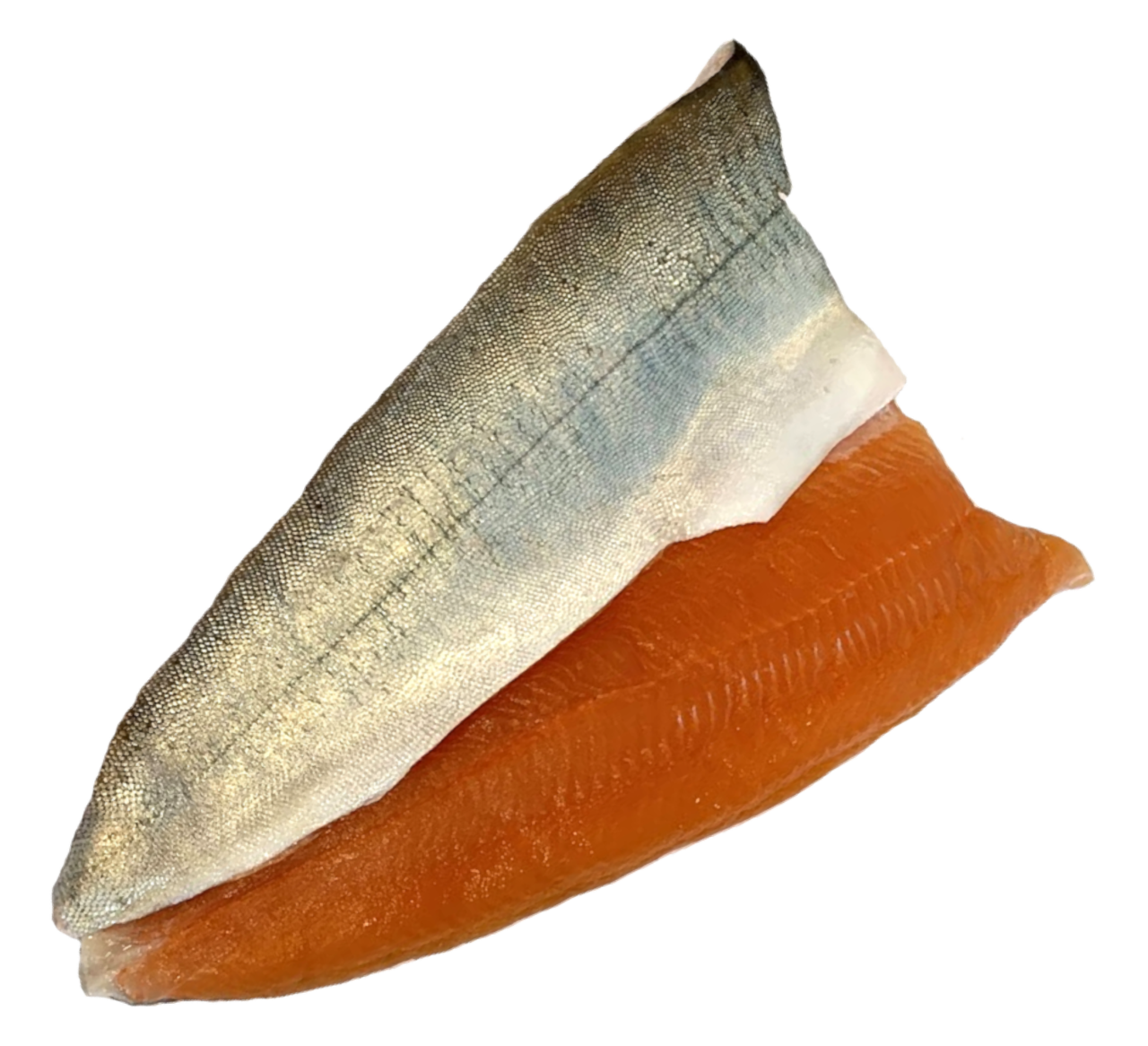 ca. 400 g Saiblingsfilet (mit Haut) | Fisch - Seafood | comestibles.ch
