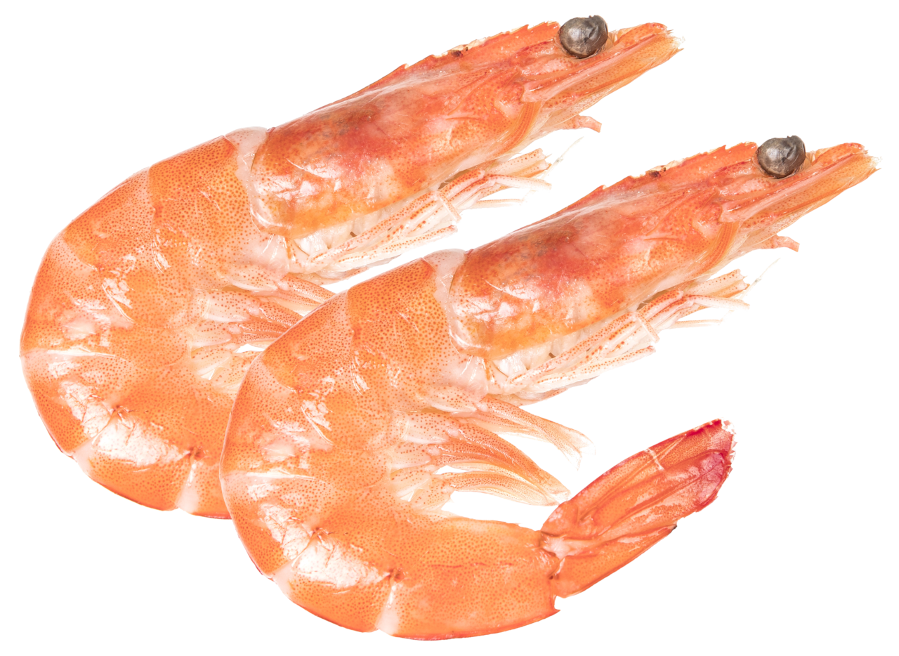 1000 g Black Tiger Riesencrevetten klein (mit Kopf und Schale roh ...